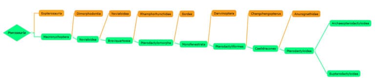 Soaring Through Time: The Fascinating World Of Flying Dinosaur Types ...