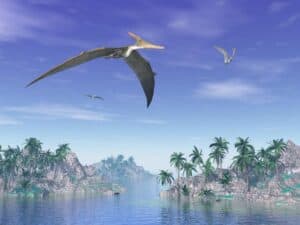 Soaring Through Time: The Fascinating World Of Flying Dinosaur Types ...