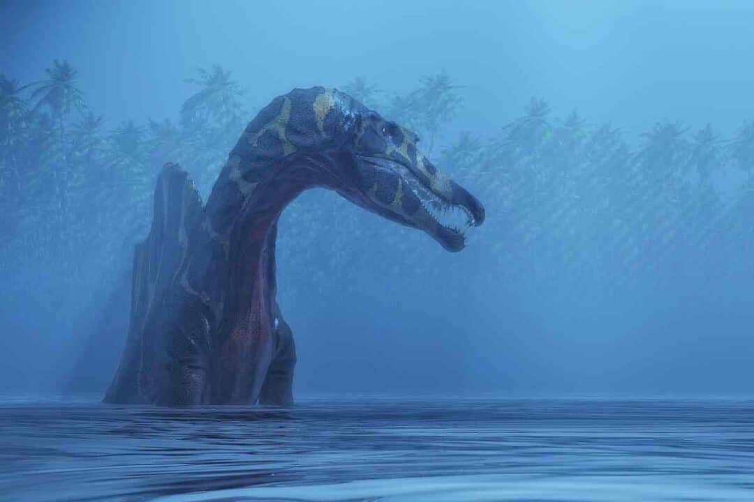 Was Spinosaurus A Water Dinosaur? | Adventure Dinosaurs