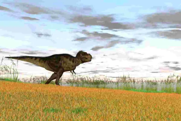 Explore The Habitat: Where Did Tyrannosaurus Rex Live?