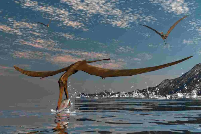 What Did Pterodactyls Eat? Unearth The Carnivorous Diet Secrets!