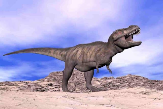How Tall Are T-Rex: Towering Tyrannosaurus Rex's Amazing Size Revealed ...