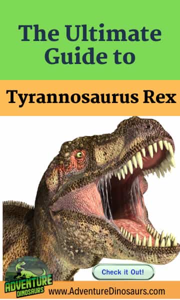 Where Are Tyrannosaurus Rex Fossils Found? Some Key Sites | Adventure ...
