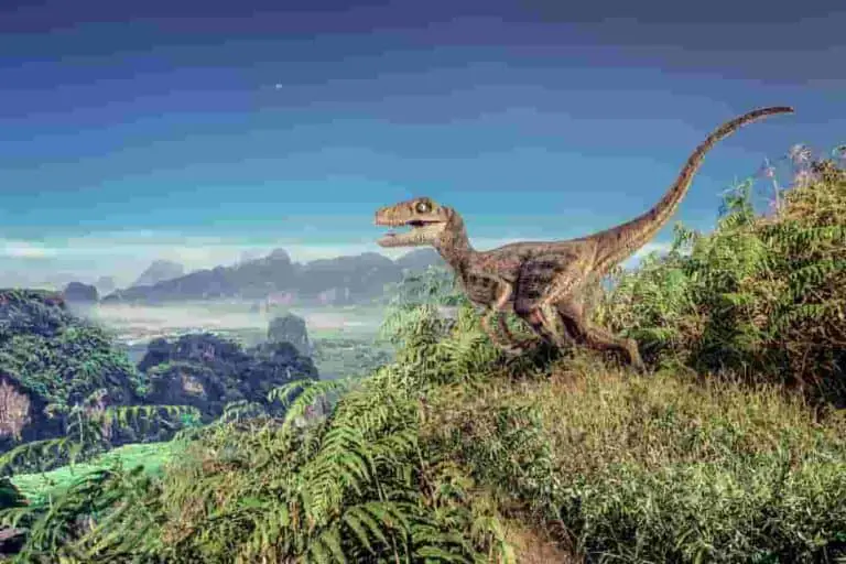 The Predator In The Coop: Are Chickens Raptors? | Adventure Dinosaurs