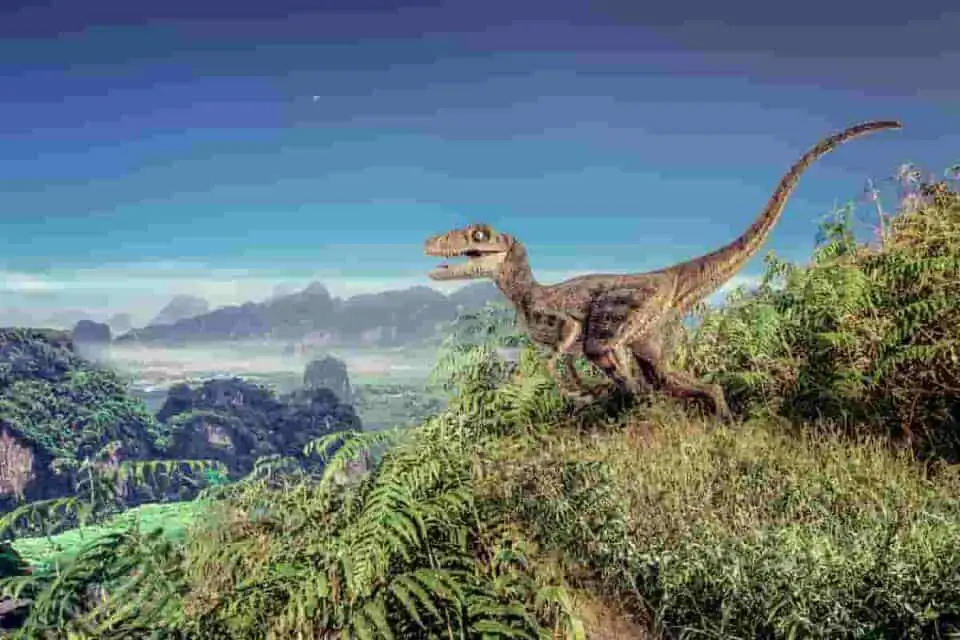 The Predator In The Coop: Are Chickens Raptors? | Adventure Dinosaurs