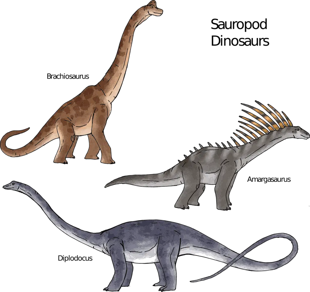 Most Common Dinosaur Groups | Which Dominated Earth? | Adventure Dinosaurs